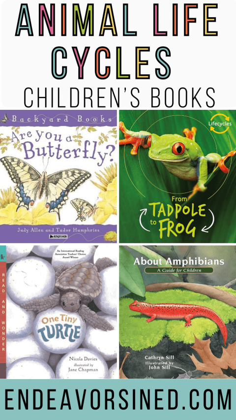 6 Ideas for Teaching Plant and Animal Life Cycles in Elementary Science ...