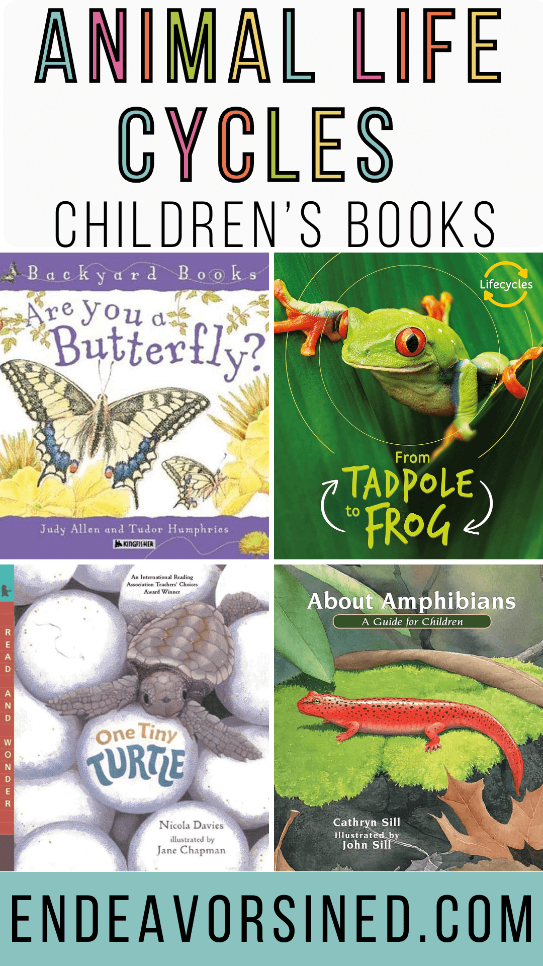6 Ideas for Teaching Plant and Animal Life Cycles in Elementary Science ...