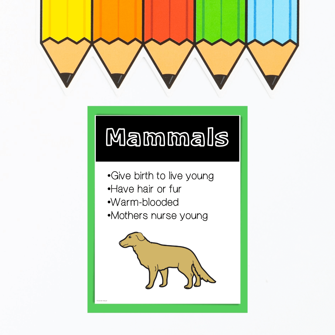 6 Ideas for Teaching Plant and Animal Life Cycles in Elementary Science ...