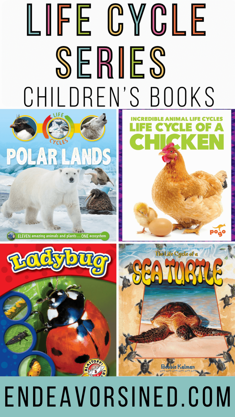 6 Ideas for Teaching Plant and Animal Life Cycles in Elementary Science ...