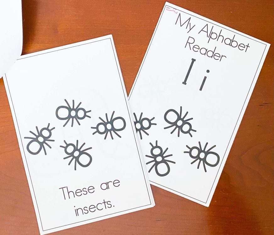 Insect Activities for Preschoolers - Endeavors in Education
