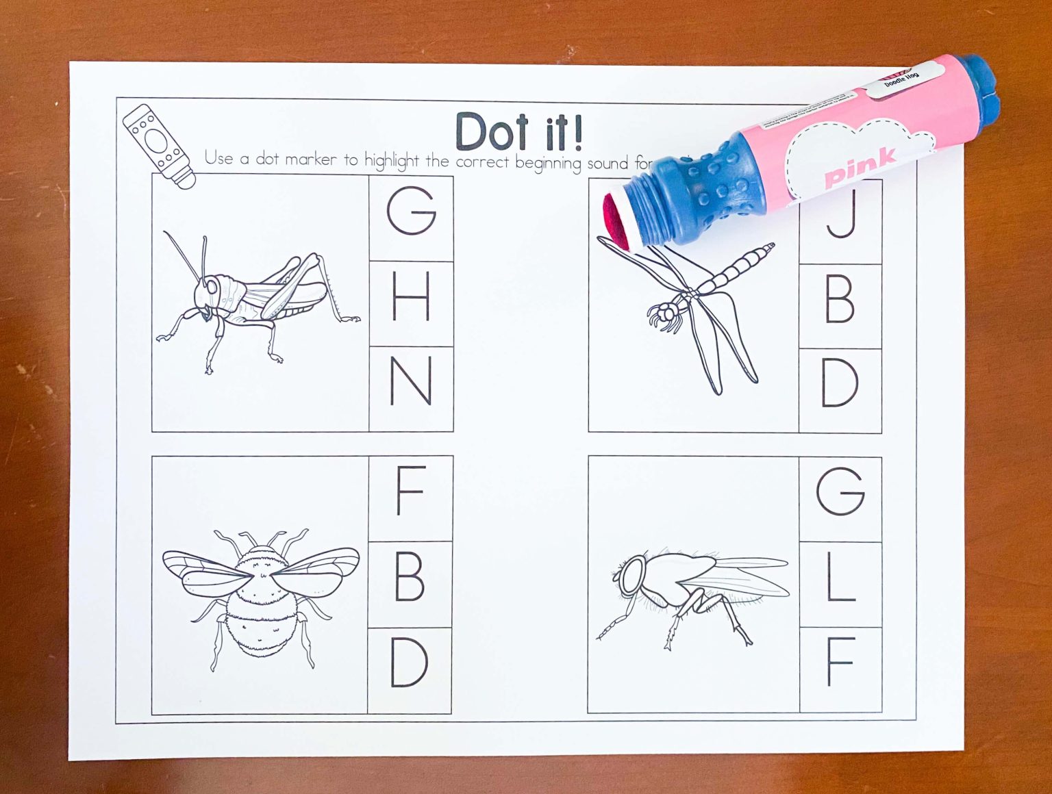 Insect Activities for Preschoolers - Endeavors in Education