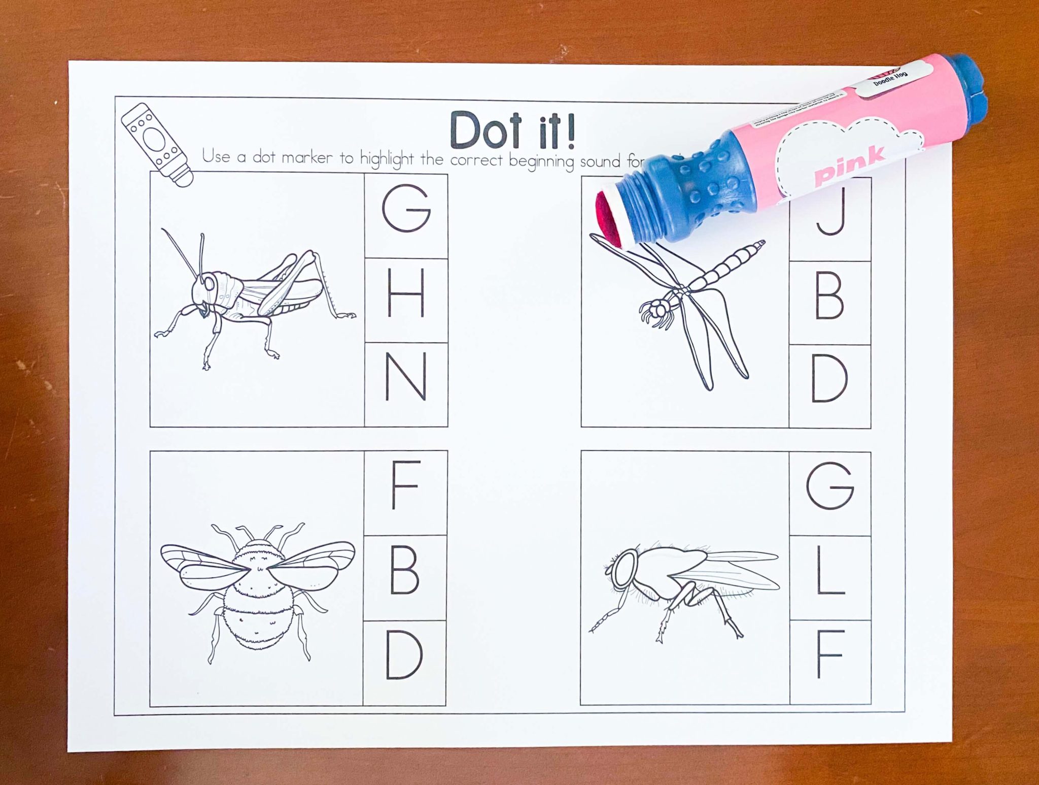 Insect Activities for Preschoolers - Endeavors in Education