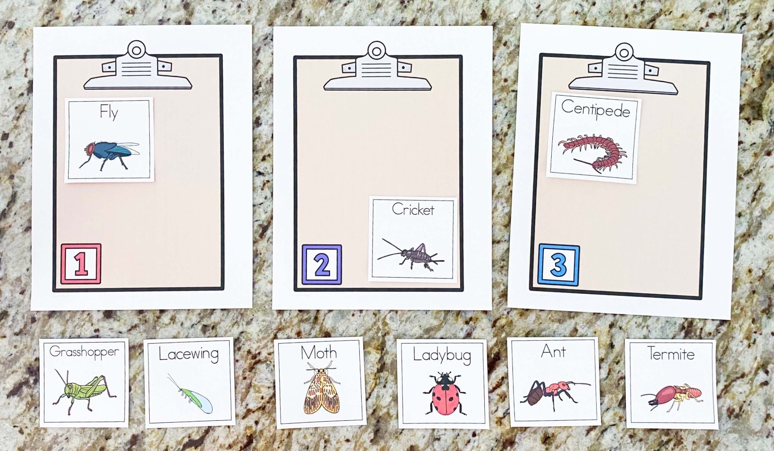Insect Activities for Preschoolers - Endeavors in Education