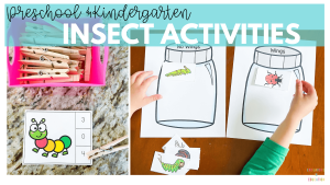 Insect Activities for Preschoolers - Endeavors in Education